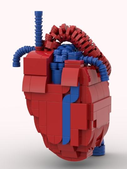 The Human Heart from BrickLink Studio [BrickLink]