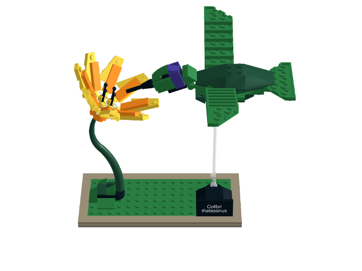 21301 Birds (6127447 Hummingbird) from BrickLink Studio [BrickLink]