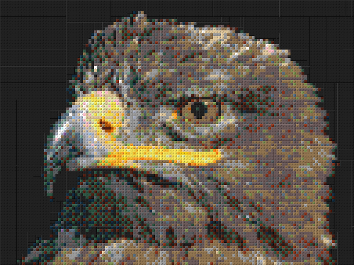 Steppe eagle from BrickLink Studio [BrickLink]