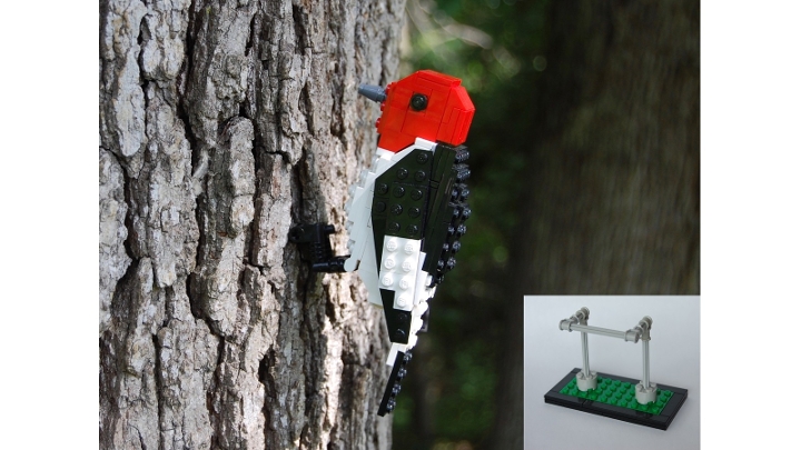 Red-headed Woodpecker from BrickLink Studio [BrickLink]